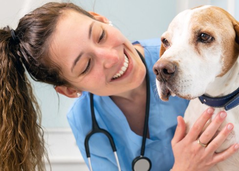 Common Application Development - WinWire Technologies