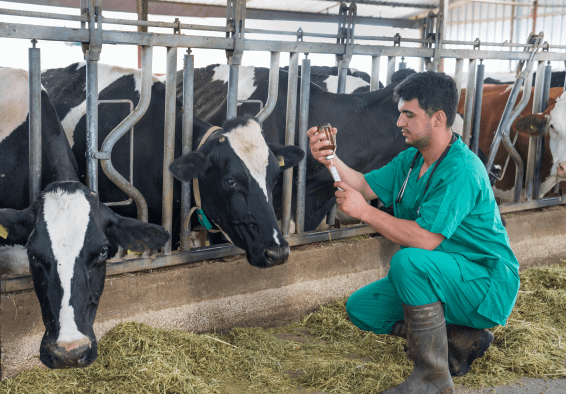 WinWire | Application Modernization and Generative AI Services